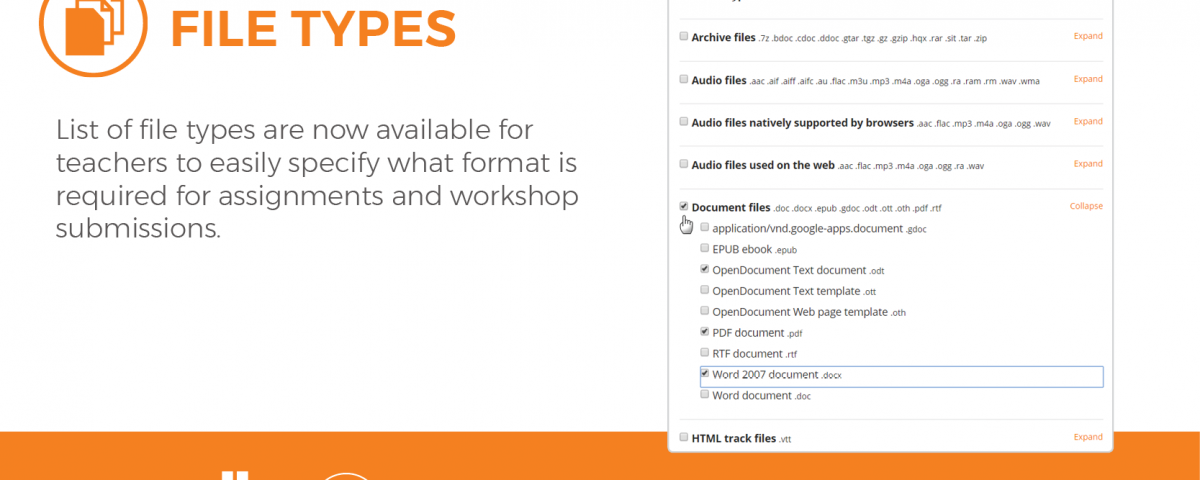 Easily Specify Assignment And Workshop Submissions Format With A File